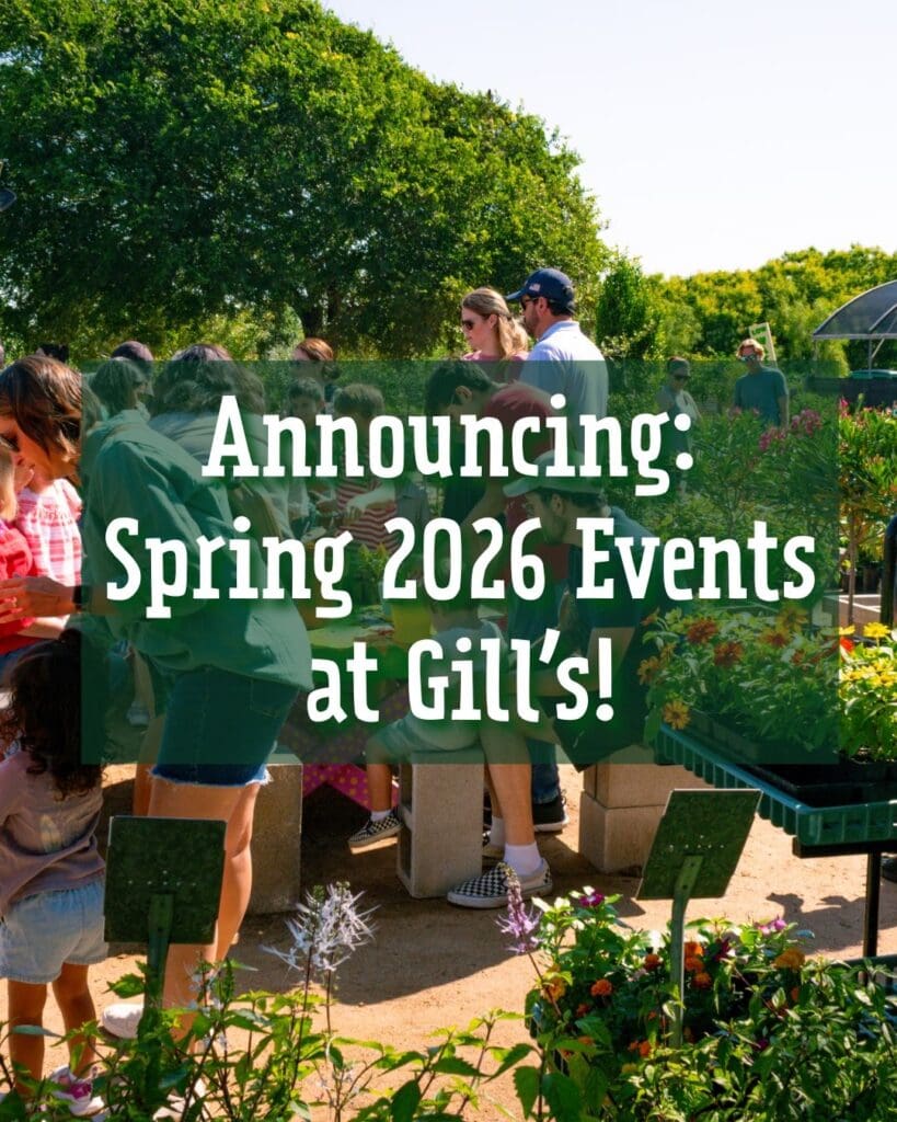Announcing: Spring 2026 Events at Gill's!