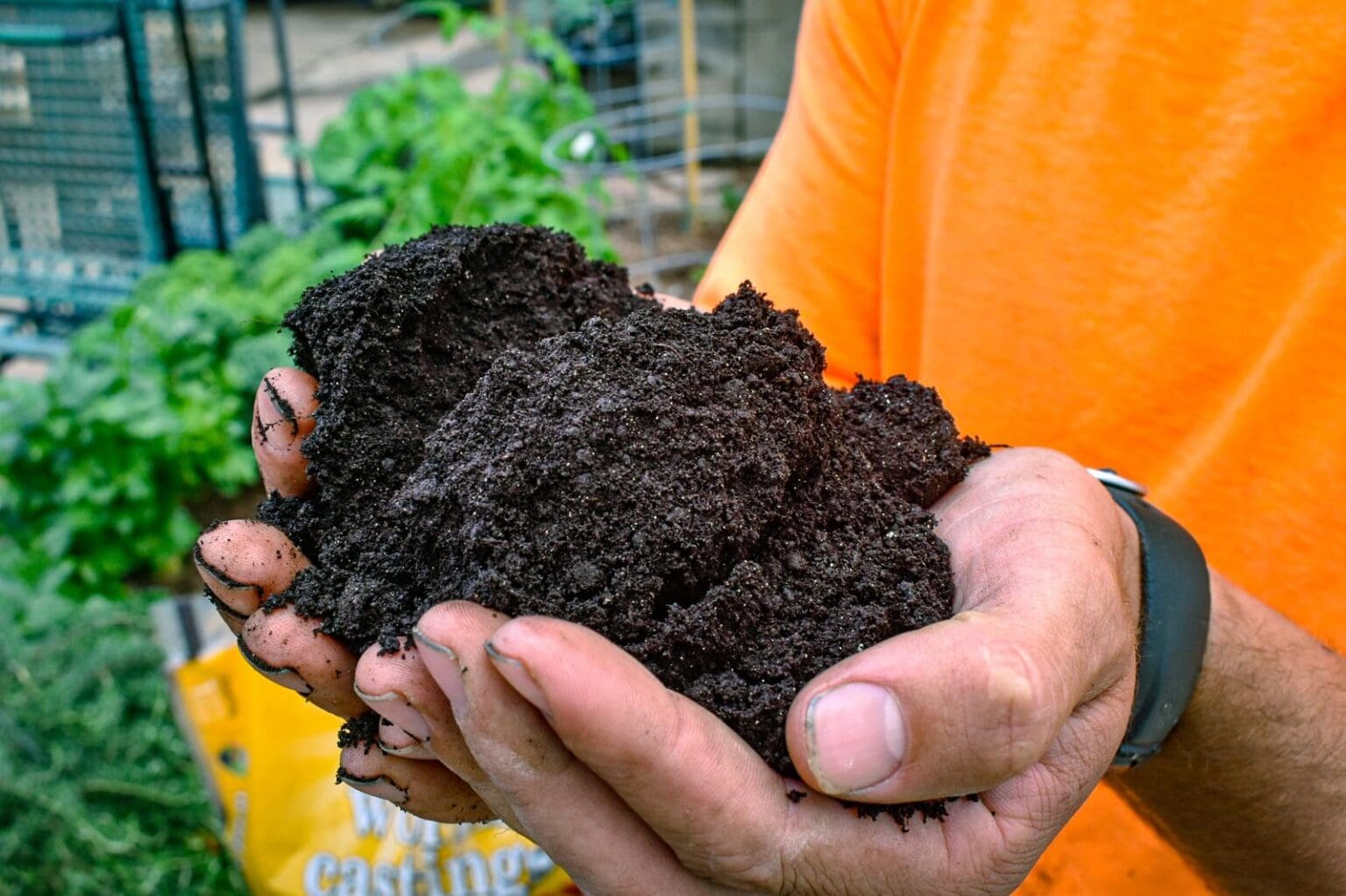 Mmmmm...Worm Poop!