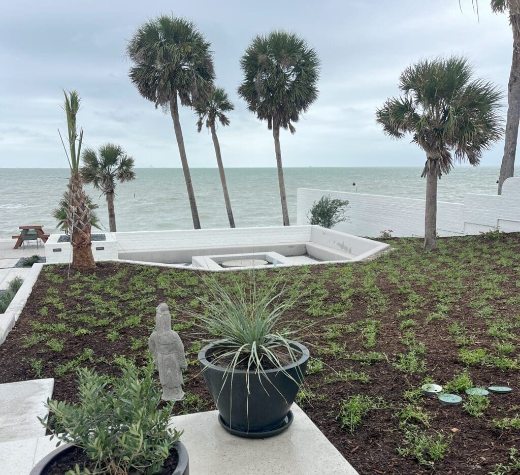 Gotta See This! The Amazing Native Frog Fruit Un-Lawn!