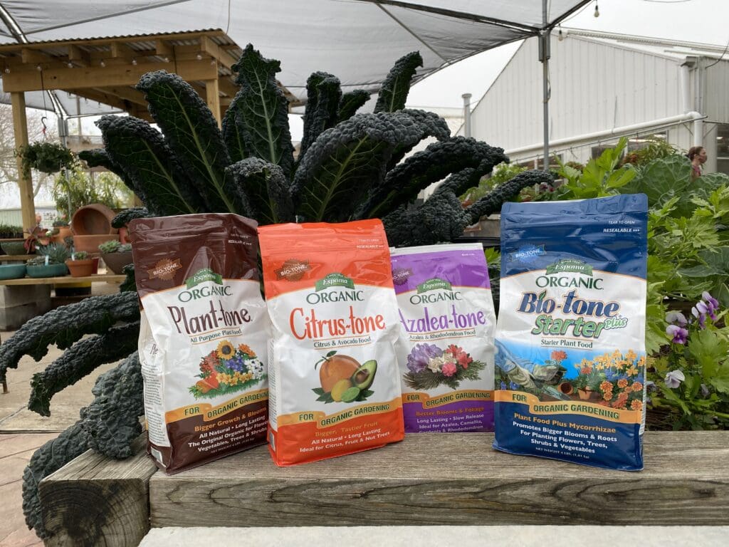 TONE Up Your Garden with Our Favorite Organic Plant Food