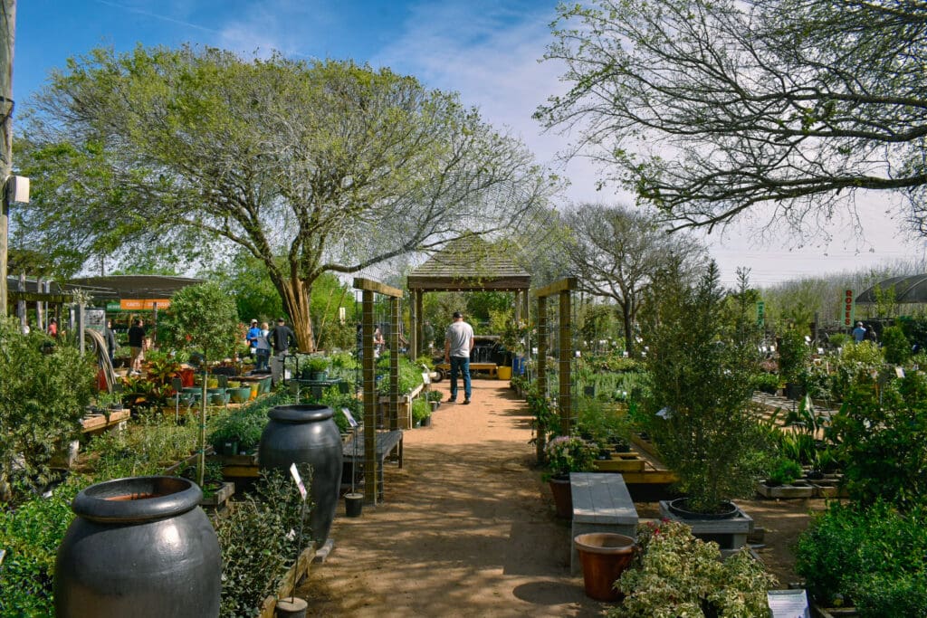 Garden News - Gill Landscape Nursery
