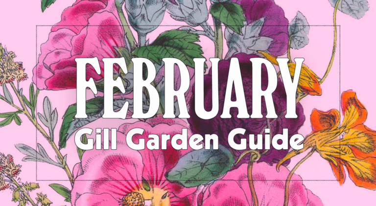 February Garden Guide