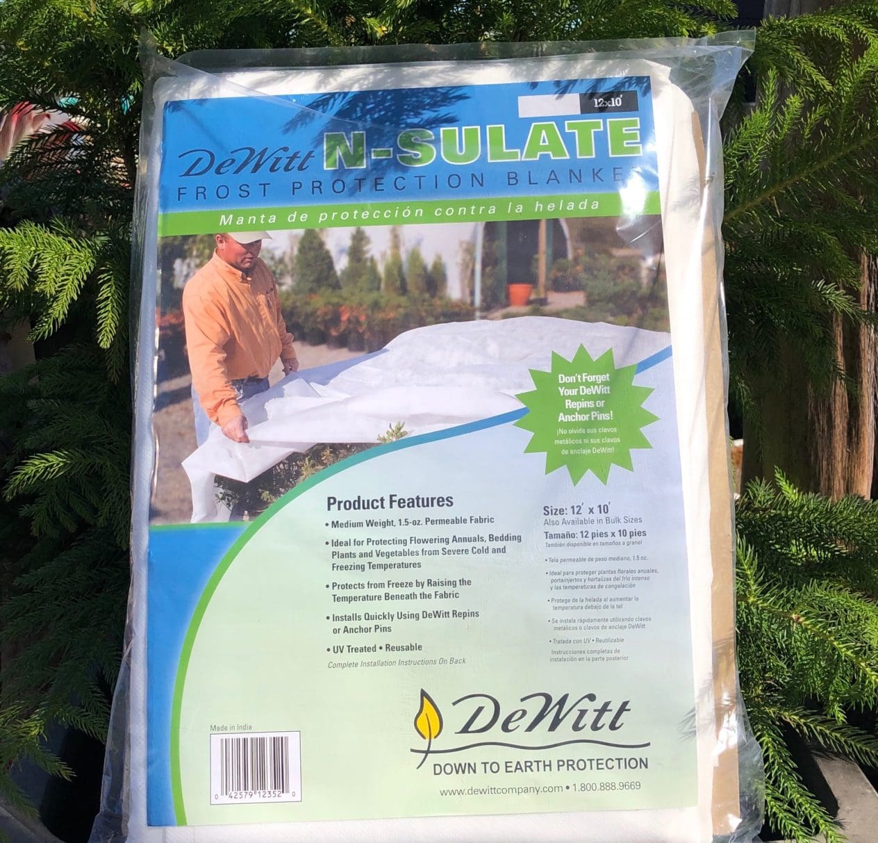 Top 7 Gardening Must-Do's for December 2024
