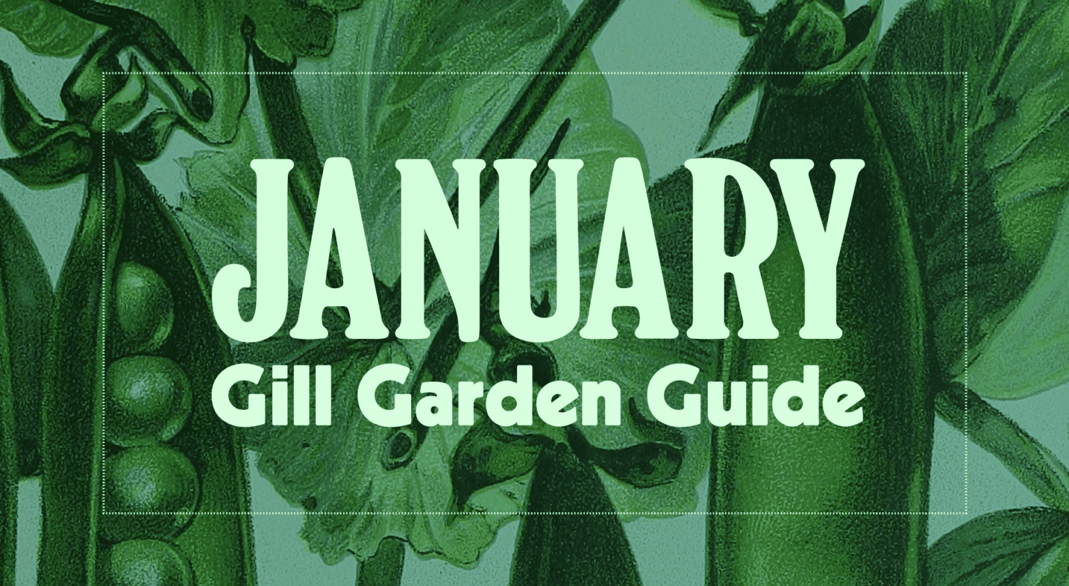 January Garden Guide