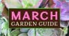 March Garden Guide