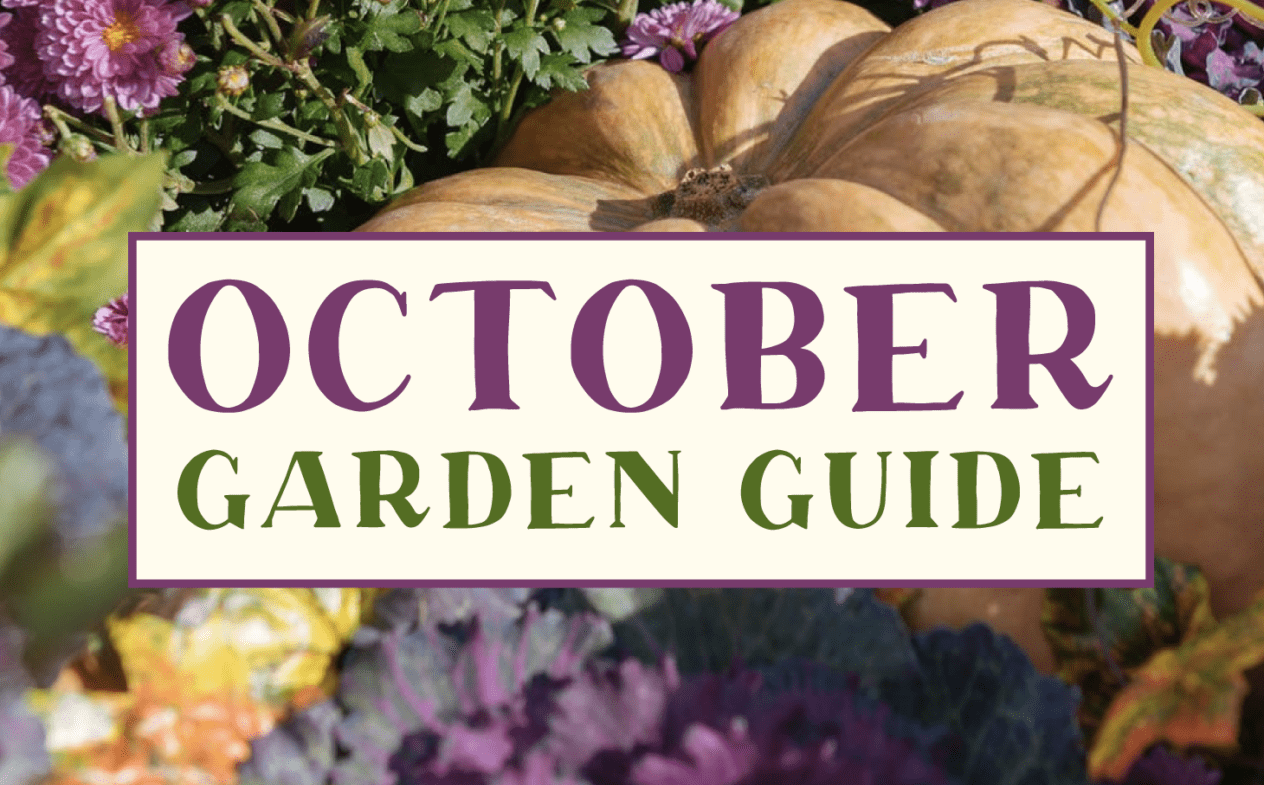 October Garden Tips