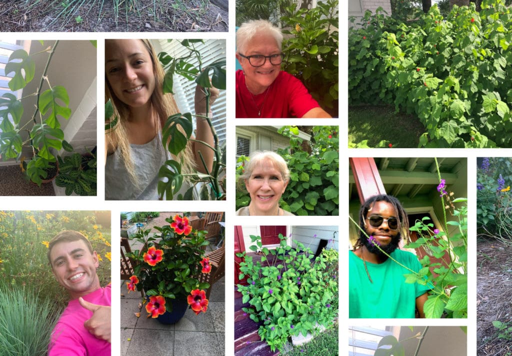 What the Pros Grow: Gill Staff’s Fav Plants at Home